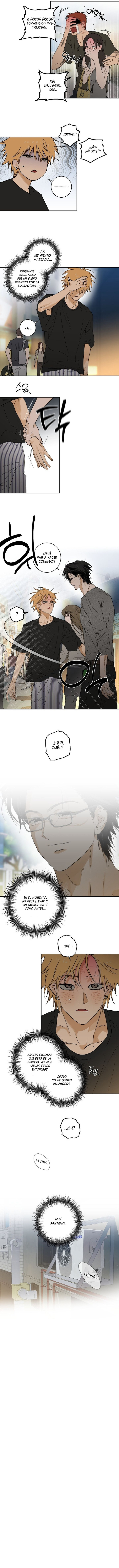 Libro completo - Capitulo 19